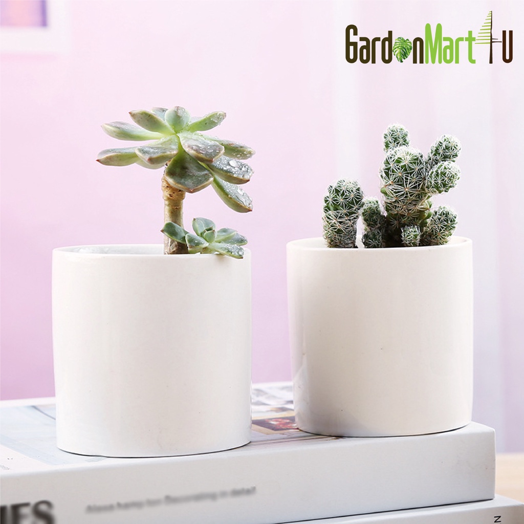 Modern Mandrake Nordic White Ceramic Flower Pot Pasu Bunga 曼陀罗纹白瓷花盆 ...