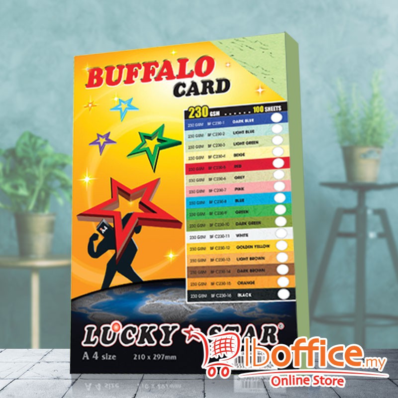 A4 Fancy Card - LuckyStar 230gsm - Light Green - 100sheets | Shopee ...