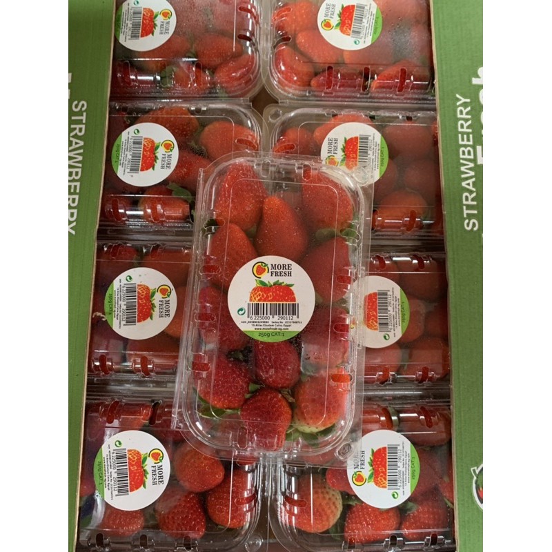 Egypt strawberry 250g | Shopee Malaysia