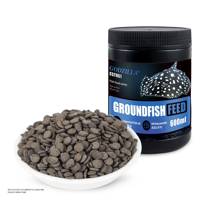 Jonsanty Godzilla Slow Sinking Suckermouth Cat Fish Pleco Fish Ground ...
