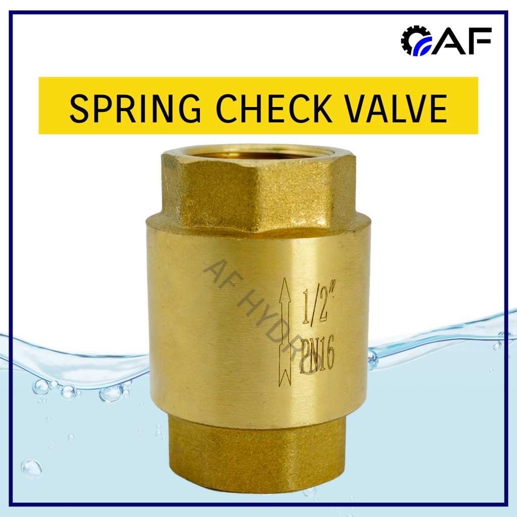 Brass Spring Check Valve 1/4” to 1” BSP Heavy Duty One Way Non Return ...