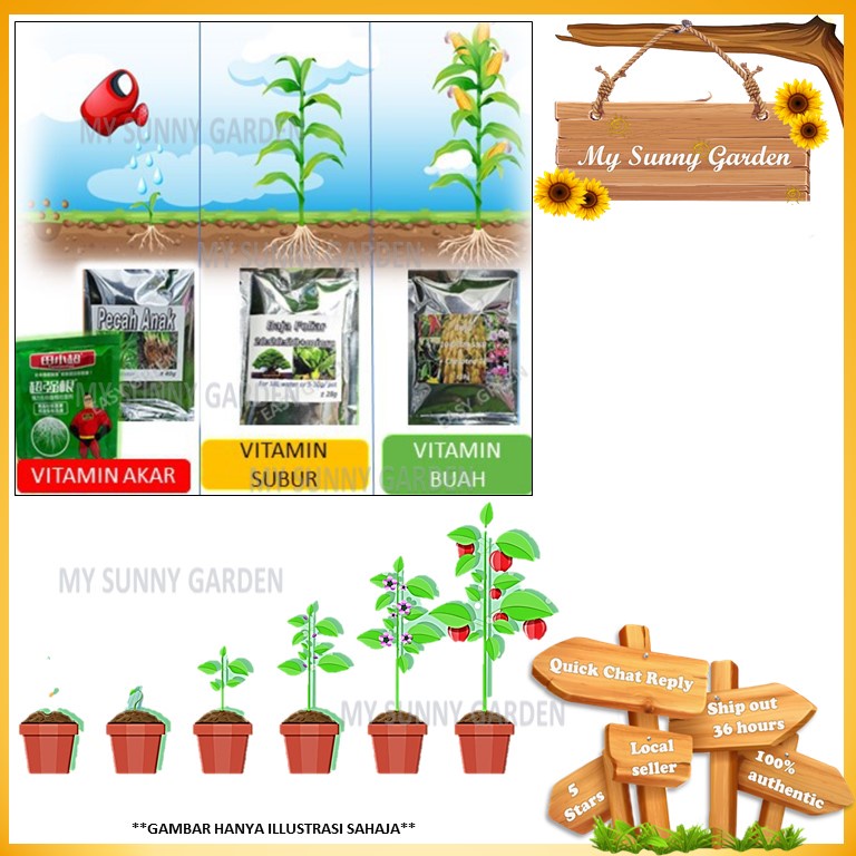 VITAMIN POKOK BUNGA SAYUR SAYURAN BUAH UNTUK SUBUR AKAR SEMUA PERINGKAT ...