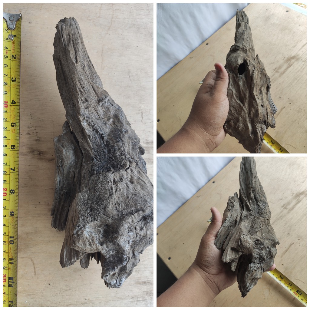 Driftwood aquarium (kayu hanyut/kayu hiasan/kayu akuarium) | Shopee ...
