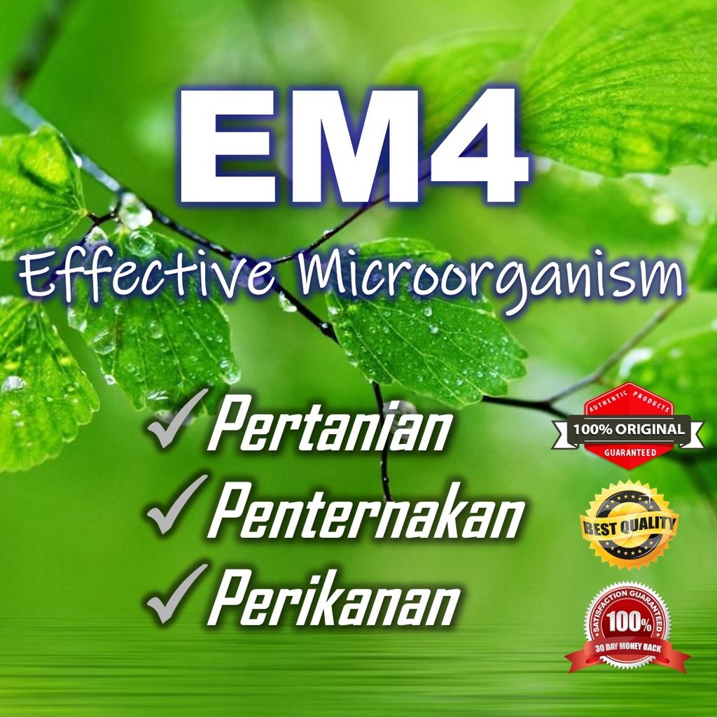 EM4 Effective Microorganism Pertanian, Penternakan, Perikanan (1.1 ...