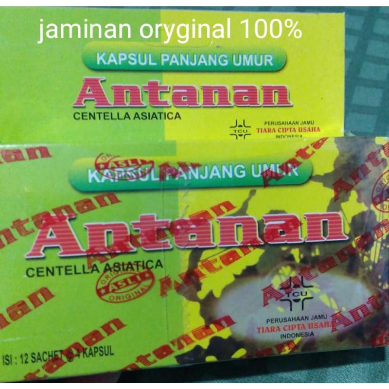 Antanan Oryginal | Shopee Malaysia