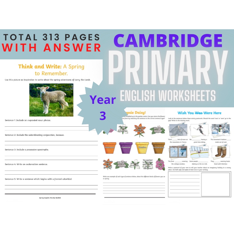 Cambridge Primary Year 3 English Worksheet | Shopee Malaysia