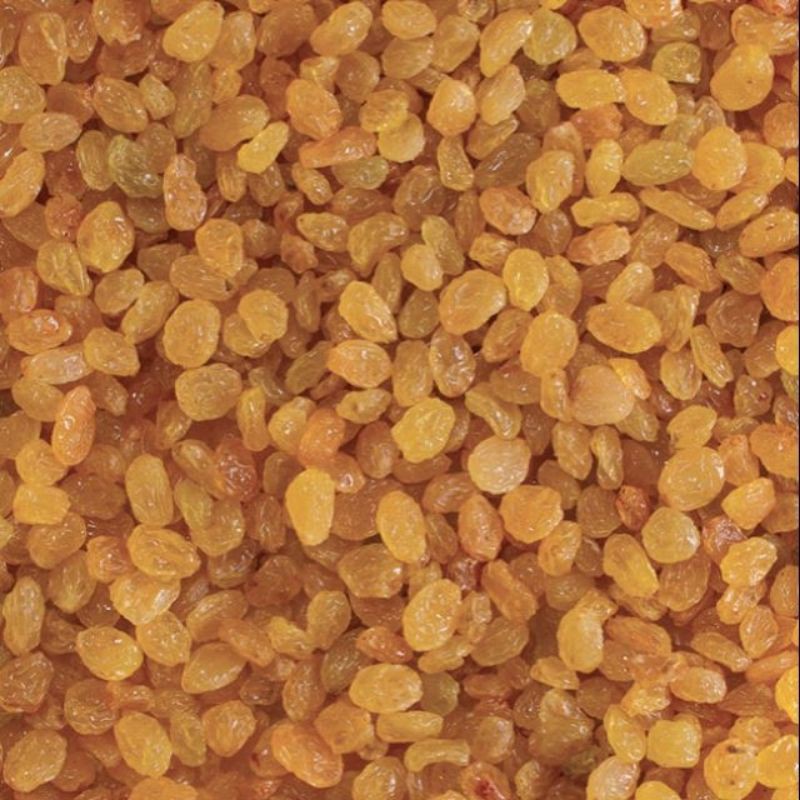 Kismis Anahita / Golden Raisin [Kismis Kuning] | Shopee Malaysia