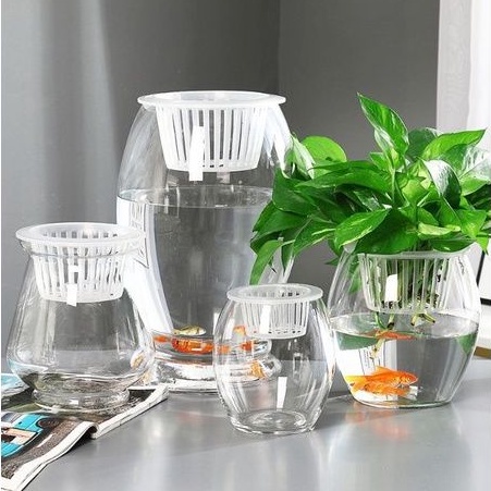 Pasu Bunga Plastik 🌳 Transparent Plastic Pot / Self Watering Pot ...