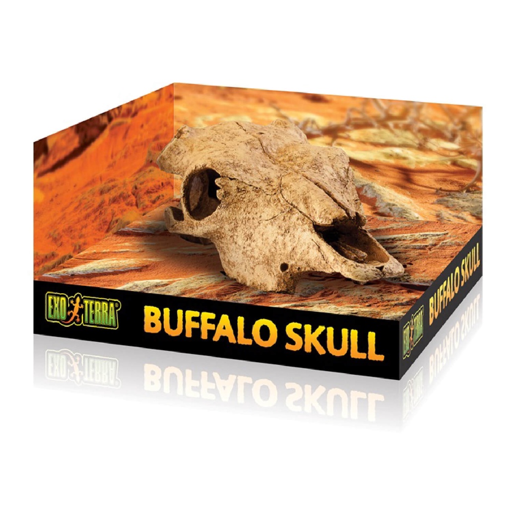HAGEN PT2857 Buffalo Skull Hide Nest Reptile Gecko Cave Lizard Spider ...