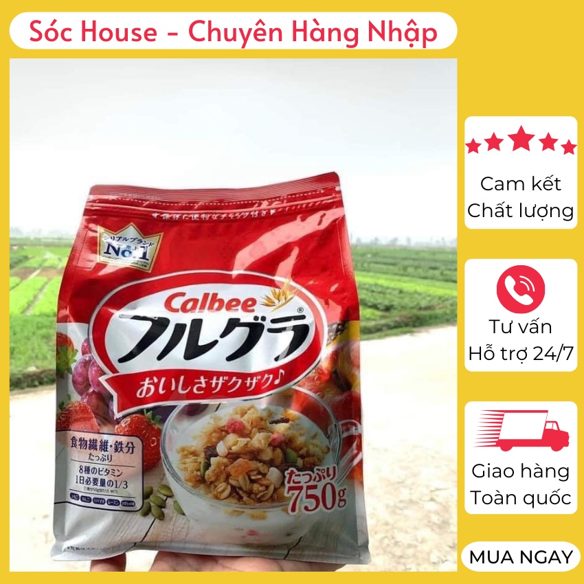 Japanese Calbee Cereal DOMESTIC STANDARD Dried fruit cereal for weight ...