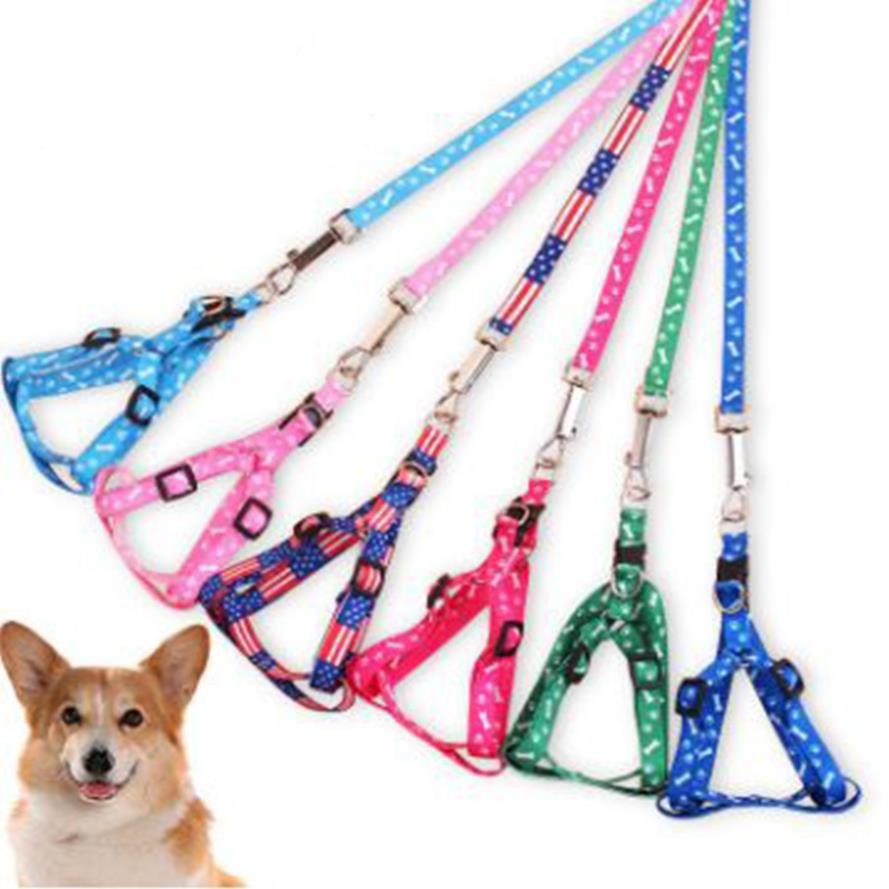 Lead + Bib for Dogs and Cats 1cm | Shopee Malaysia