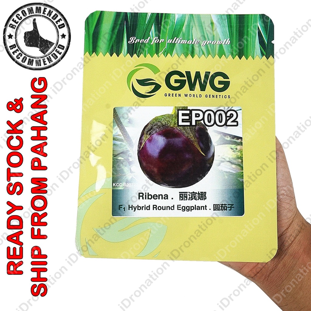 Leckat EP002 Seed Seeds EP 002 Biji Benih 2G 10G Terung Terong Bulat Purple Ribena F1 Hybrid ...