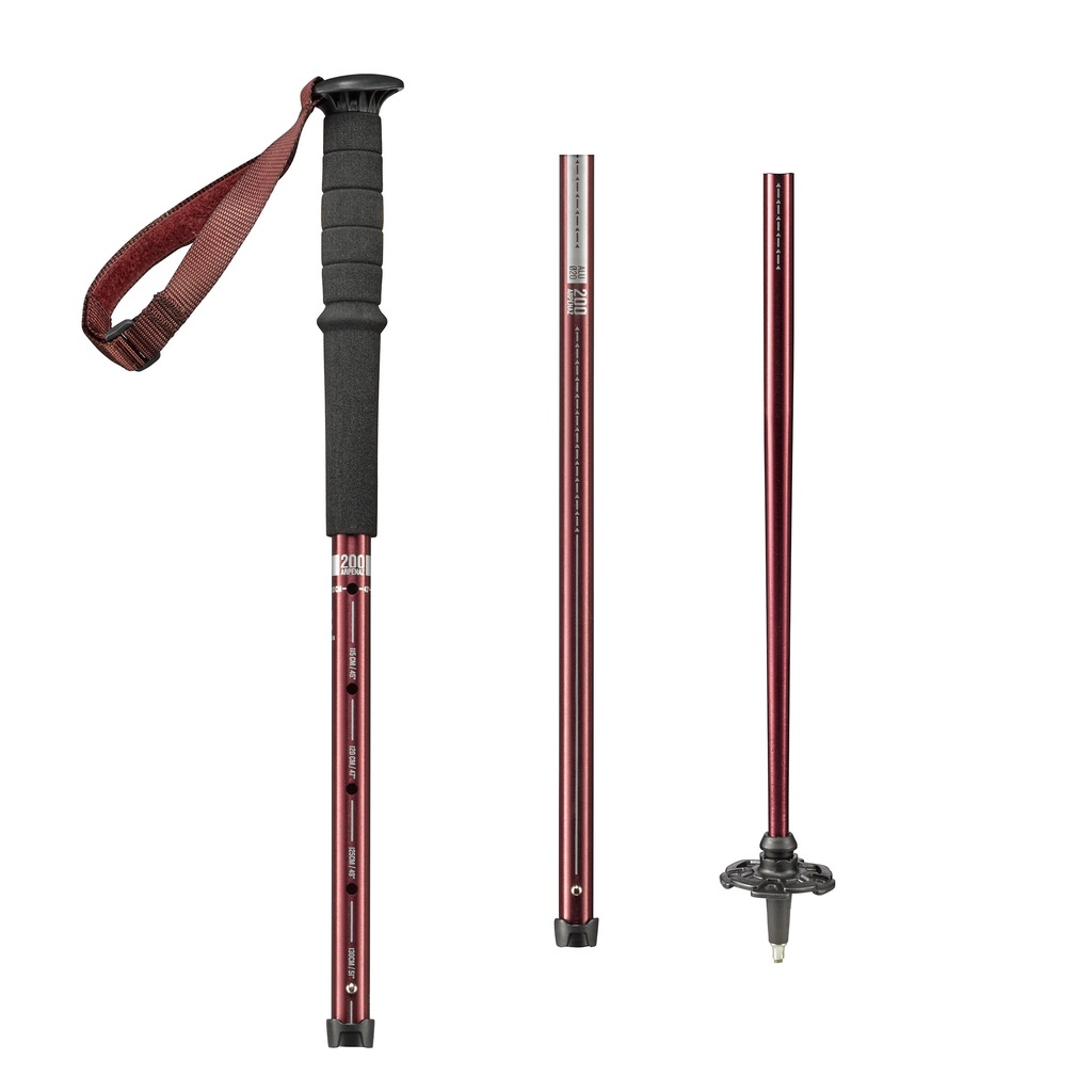 Decathlon Hiking/Trekking Pole Stick MT100 (Adjustable Push-Pin ...