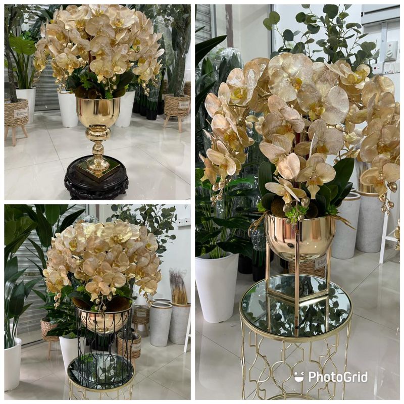 🔥🔥🔥Gubahan orkid goldish 7 tangkai🔥🔥🔥 | Shopee Malaysia