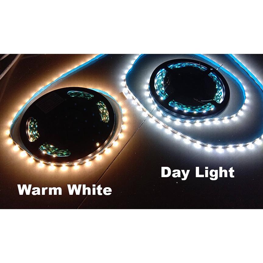 WARM WHITE DAY LIGHT Color 10M 2835 SMD LED Strip LED 12V | Water ...