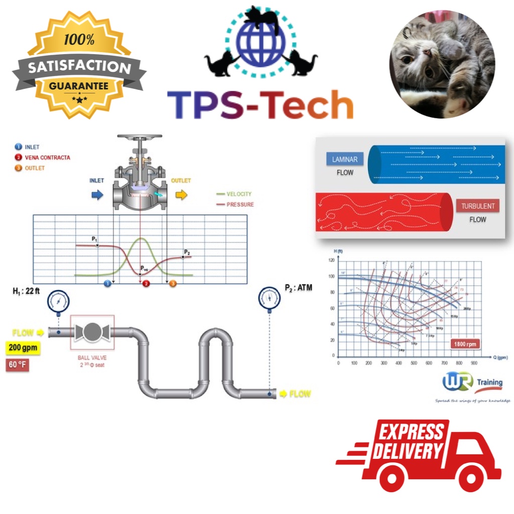 [COURSE] Udemy - Flow of fluids through piping systems , valves and ...