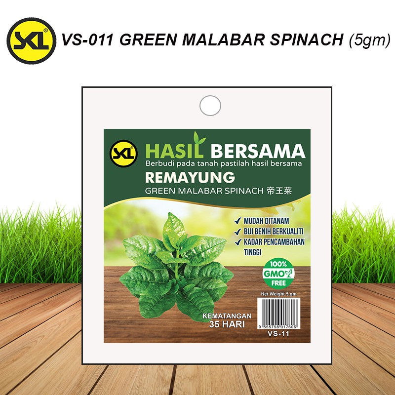 Remayong 5gm/Malabar Spinach/蚕菜 SKL Seeds | Shopee Malaysia
