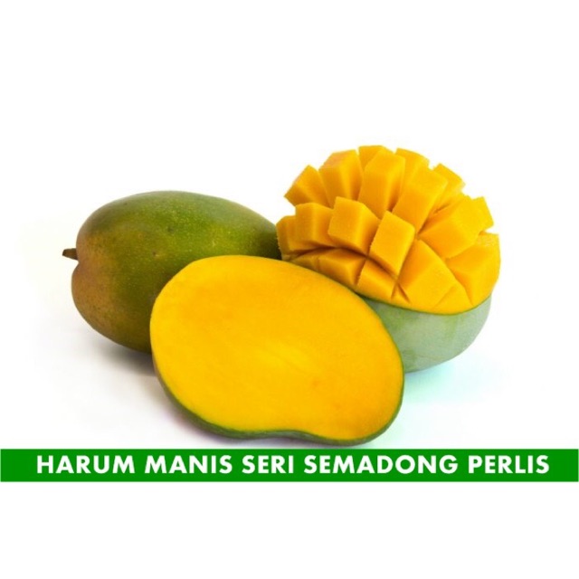 (READY STOCK)HARUM MANIS PERLIS | Shopee Malaysia
