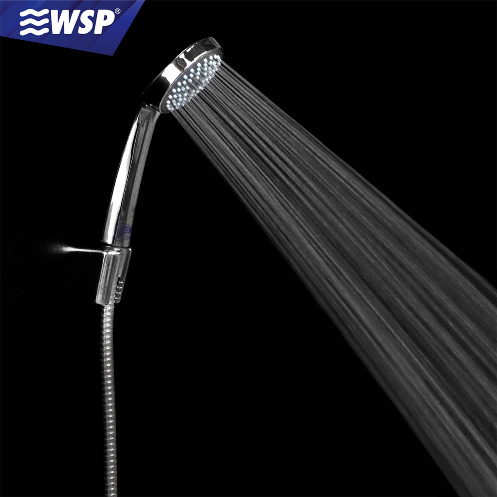 WSP Shower Head Set With 1 Level Hose RAYONG Model WSP-110 (Chrome ...