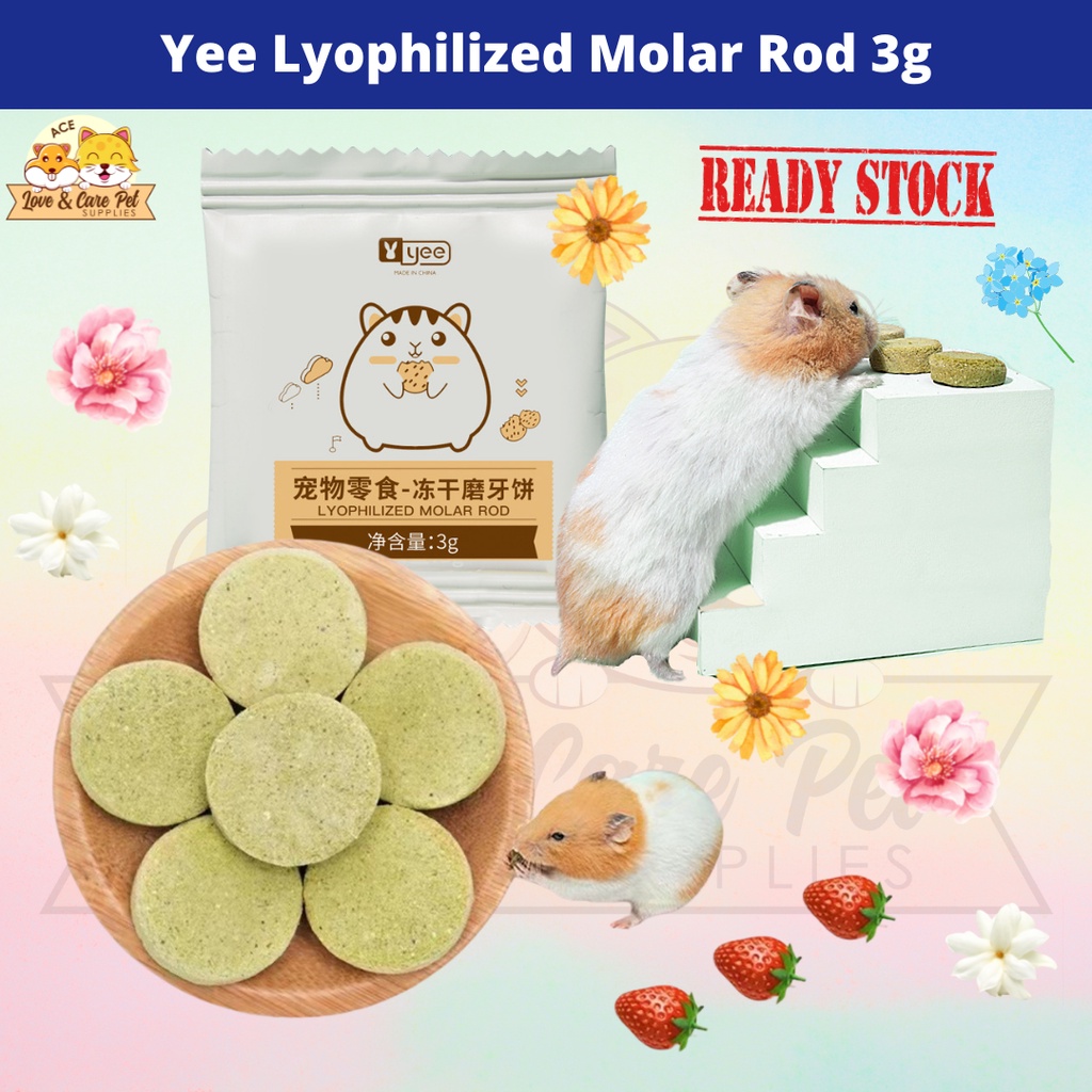 Natural & Nutritious Yee Fruit & Vegetables Molar Biscuit for Hamster ...