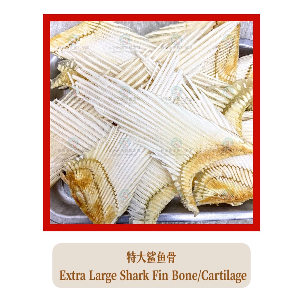 [Local Seller / Ready Stock] 特大鲨鱼骨(150g) Extra Large Shark Fin Bone ...