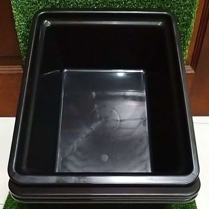 BEKAS IKAN SERBAGUNA 🐠🐠 # bekas ikan laga @ ikan guppy #serbaguna # ...
