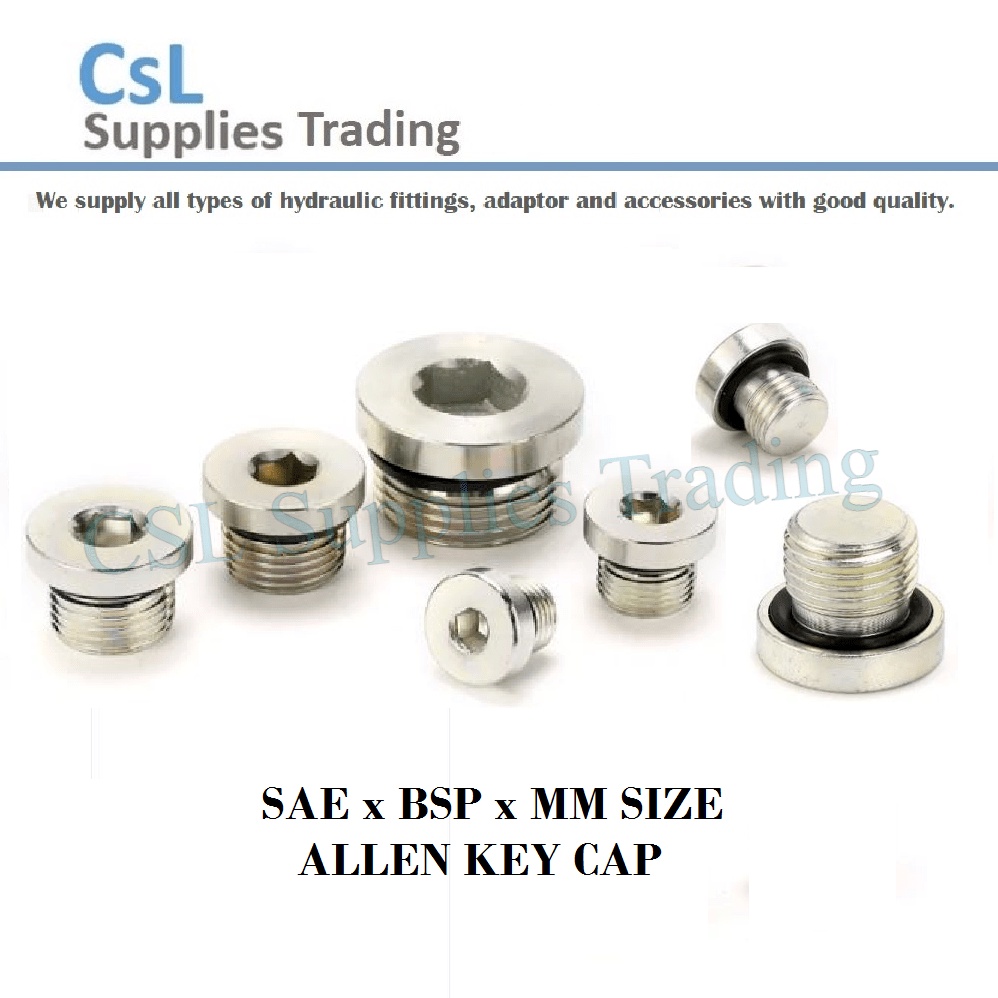 ALP-MM SIZE BSP ALLEN KEY HOLLOW O-RING BOSS CAP HYDRAULIC ADAPTER ...