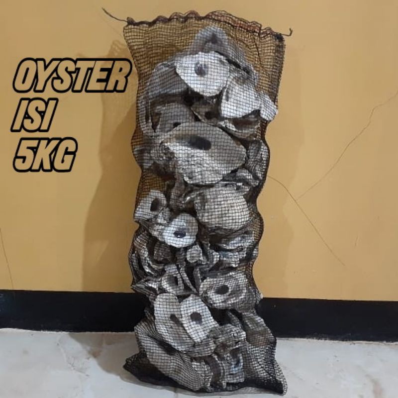 Oyster shell shell 5kg koi Pond Water filter media | Shopee Malaysia