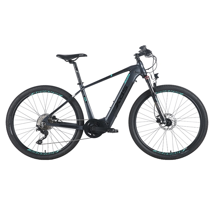 XDS Advance Electric 600 PRO Ebike Version 2 | Shopee Malaysia
