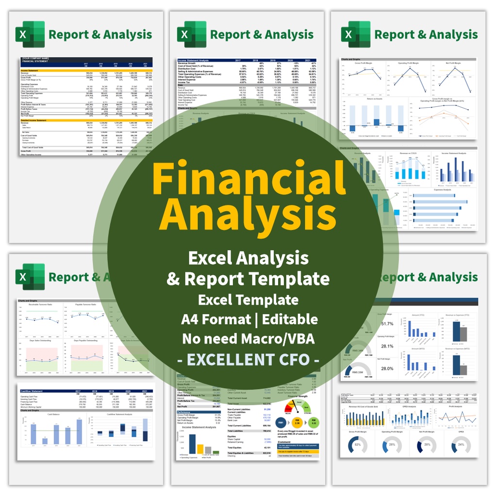 Financial Analysis Excel Templates With Key Ratio Auto Update Printable Editable No Macro