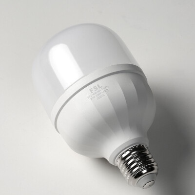 FSL 20W LED T80 BULB (DAYLIGHT/6500K) | Shopee Malaysia