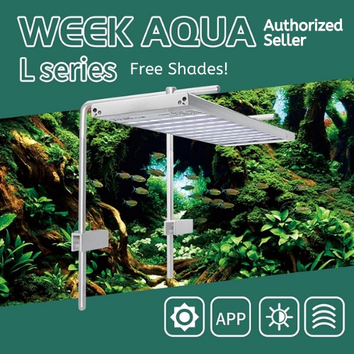 Week Aqua L-series RGB LED Lights [Free Shades] [Ready Stock] | Shopee ...