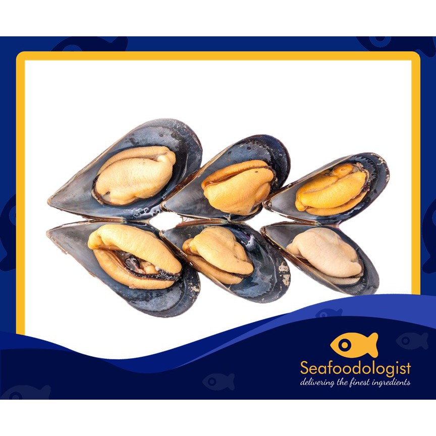 Imported Half Shell Blue Mussel (8-10CM) | Shopee Malaysia