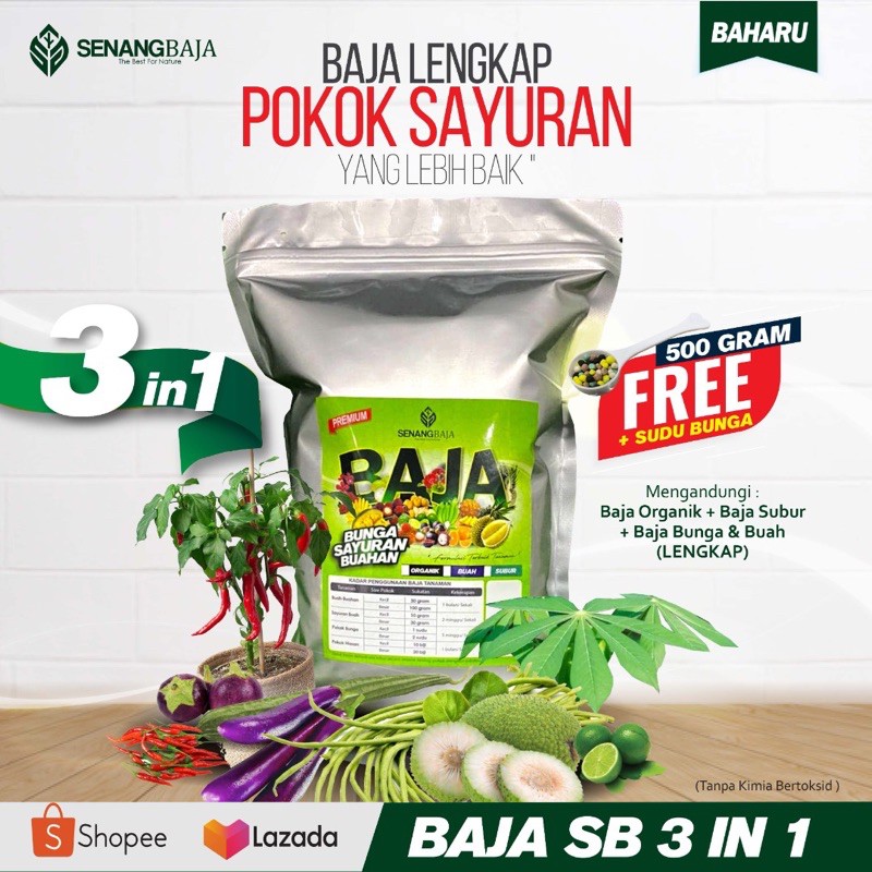 Baja Sayur-Sayuran Daun dan berbuah Cili terong petola kantan ulam DLL ...