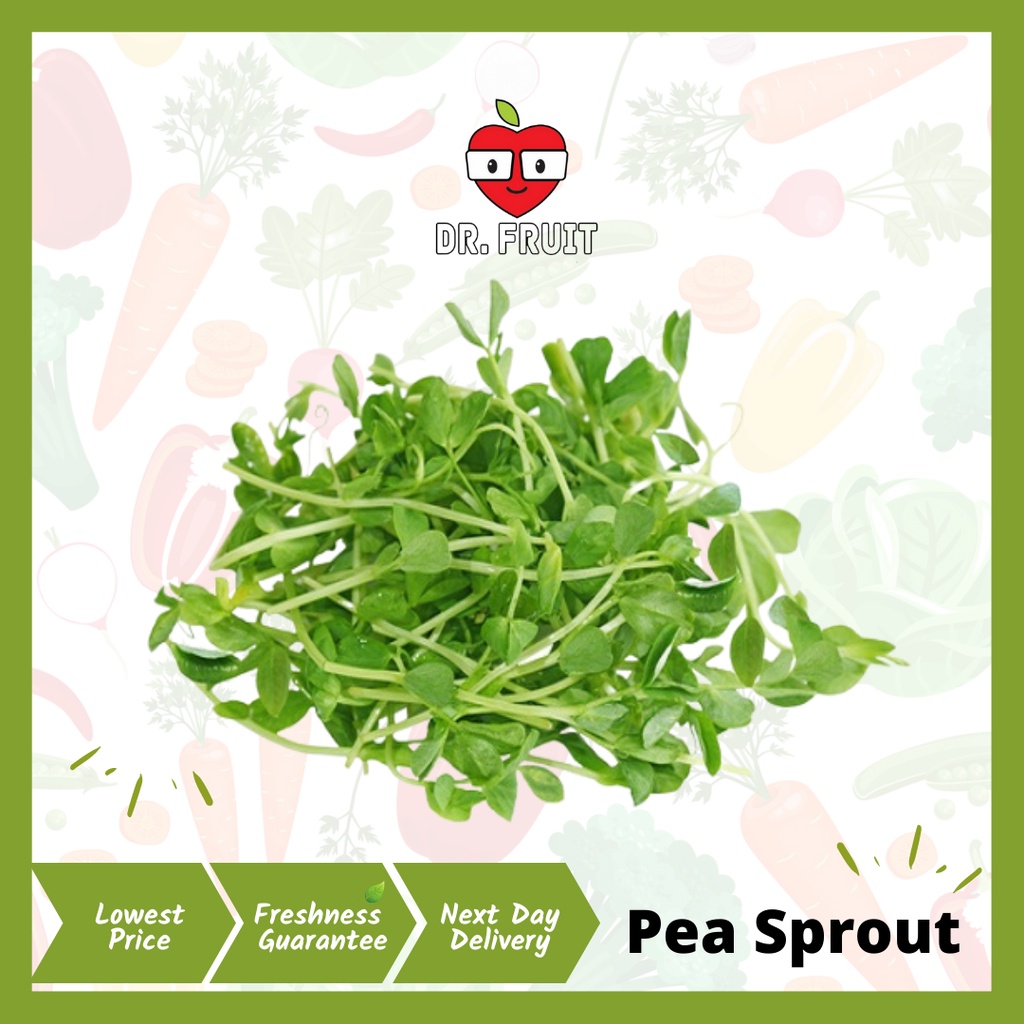 *PROMOTION* Pea Sprout (200g+-/box) 豆芽/豆苗 | Dr.fruit /Taugeh | Shopee ...