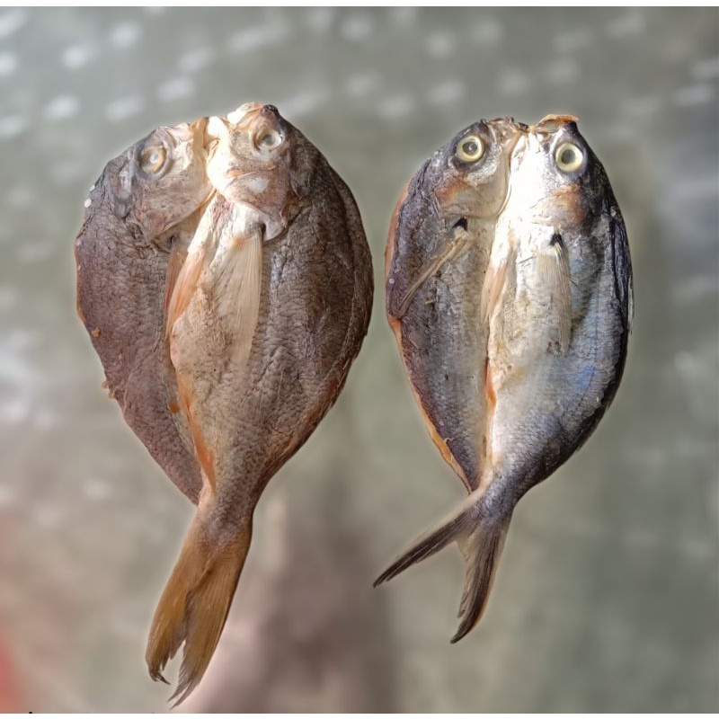 Ikan masin SULIT dan Anjang-Anjang (dari sabah) | Shopee Malaysia