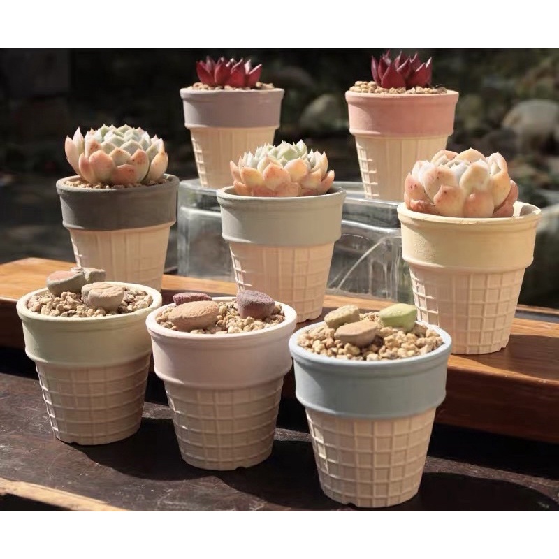 M095 8pcs/set Succulent Pot Cactus Ceramic Pot 陶瓷盆 多肉盆 仙人掌盆 花盆 Pasu ...