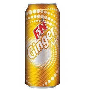 F&N CAN FUN 9 FLAVOUR 325ML TIN F&N Carbonated Drinks 325ml Can ...