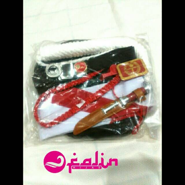 Scout Tools / A Set Of Scout Tools / A Male Scout Tools Set | Shopee ...