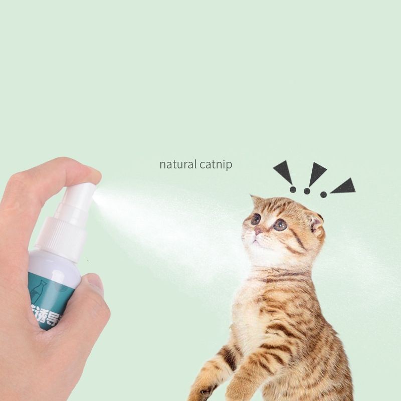 🔥Ready Stock🔥Catnip Mist Catnip Spray Catnip Bubbles | Shopee Malaysia