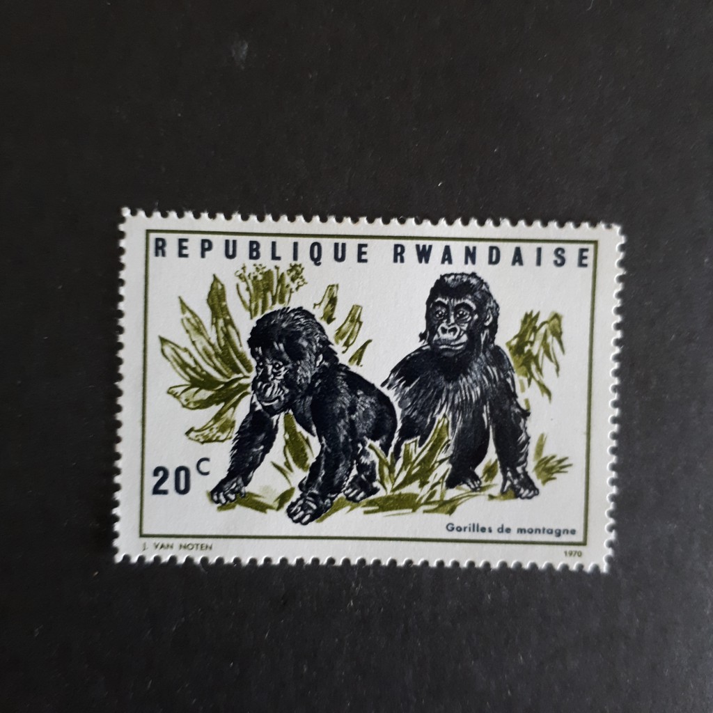1970 Rwanda Stamp - Mountain Gorilla ( Mint 1v ) | Shopee Malaysia