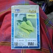 (EXP 02/2025) Lada cili Solok Hybrid Thailand Benih / Seeds | Shopee ...