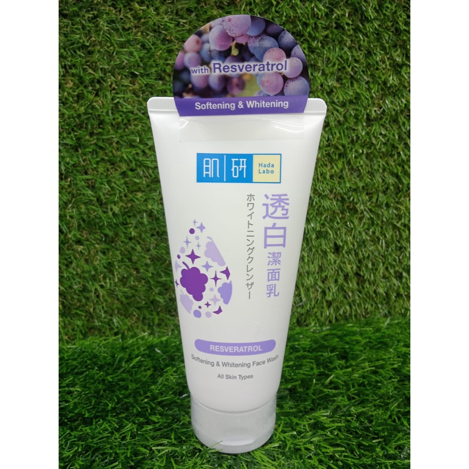 HADA LABO FACE WASH HADALABO CLEANSER 100GM - ( Thermal Spring/Super ...