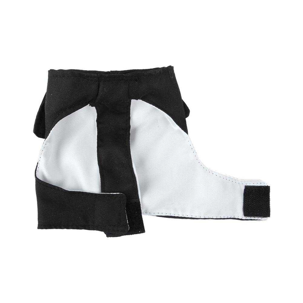 Bird Flight Clothes Parrots Business Suit Cute School Uniform Tuxedo ...