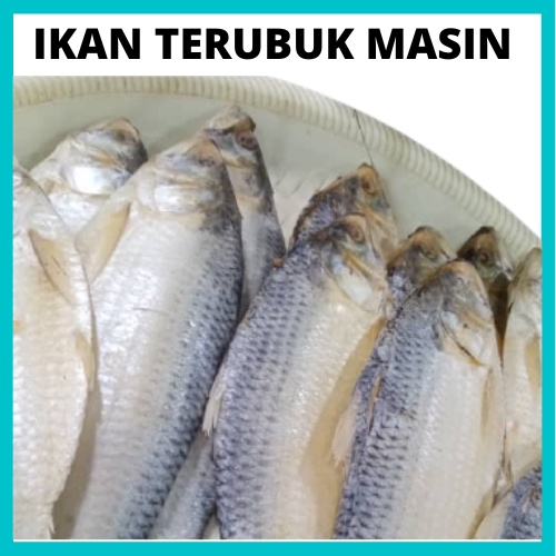 Ikan Terubuk Masin Original Sarawak | Shopee Malaysia