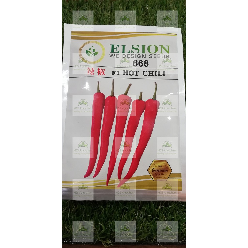 (+-10G) Hybrid Hot Cili F1 668 (READY STOCK) | Shopee Malaysia