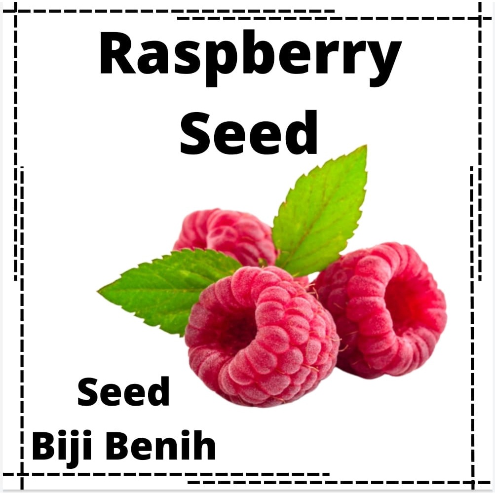 Raspberry 覆盘子种子 Biji Benih Raspberi Fruit Buah Buahan Seed Plant 50pcs ...