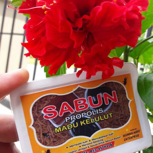 Sabun Propolis madu kelulut original (ready stok) | Shopee Malaysia