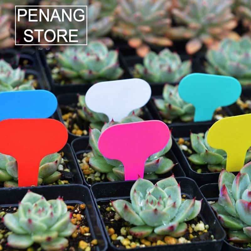 Plant Tag | Plant Label | Penanda Pokok | Plant Tag | 植物标签 | 种植标签 : 5cm ...