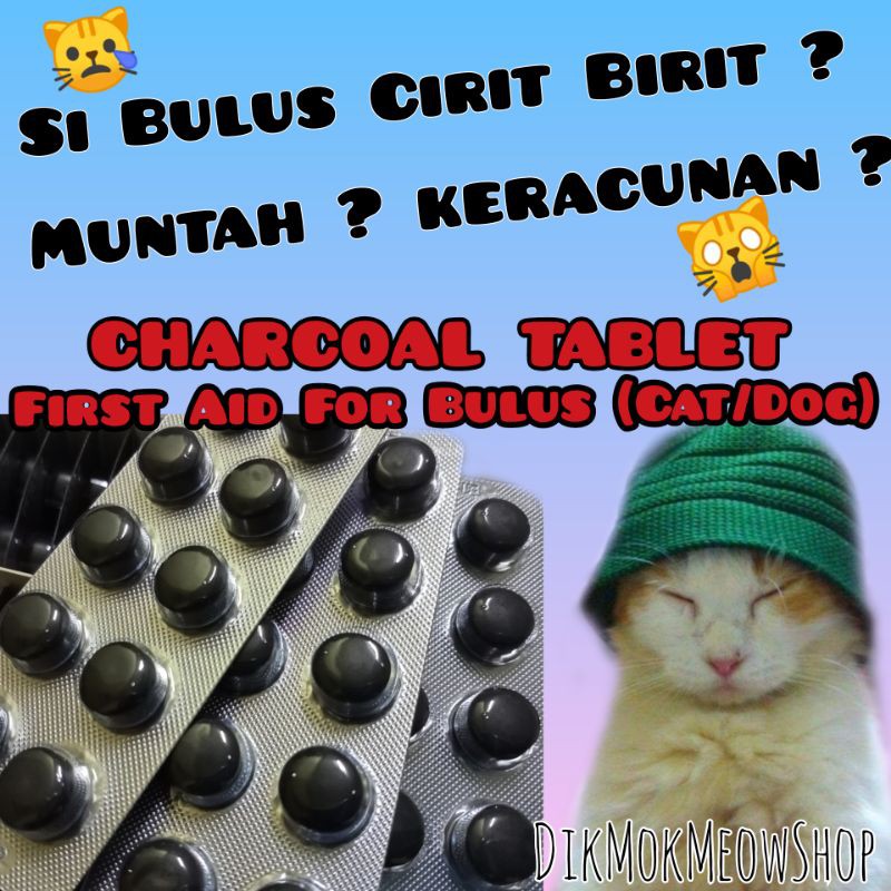 ubat Keracunan Kucing / ubat cirit birit kucing / Muntah (1biji ...